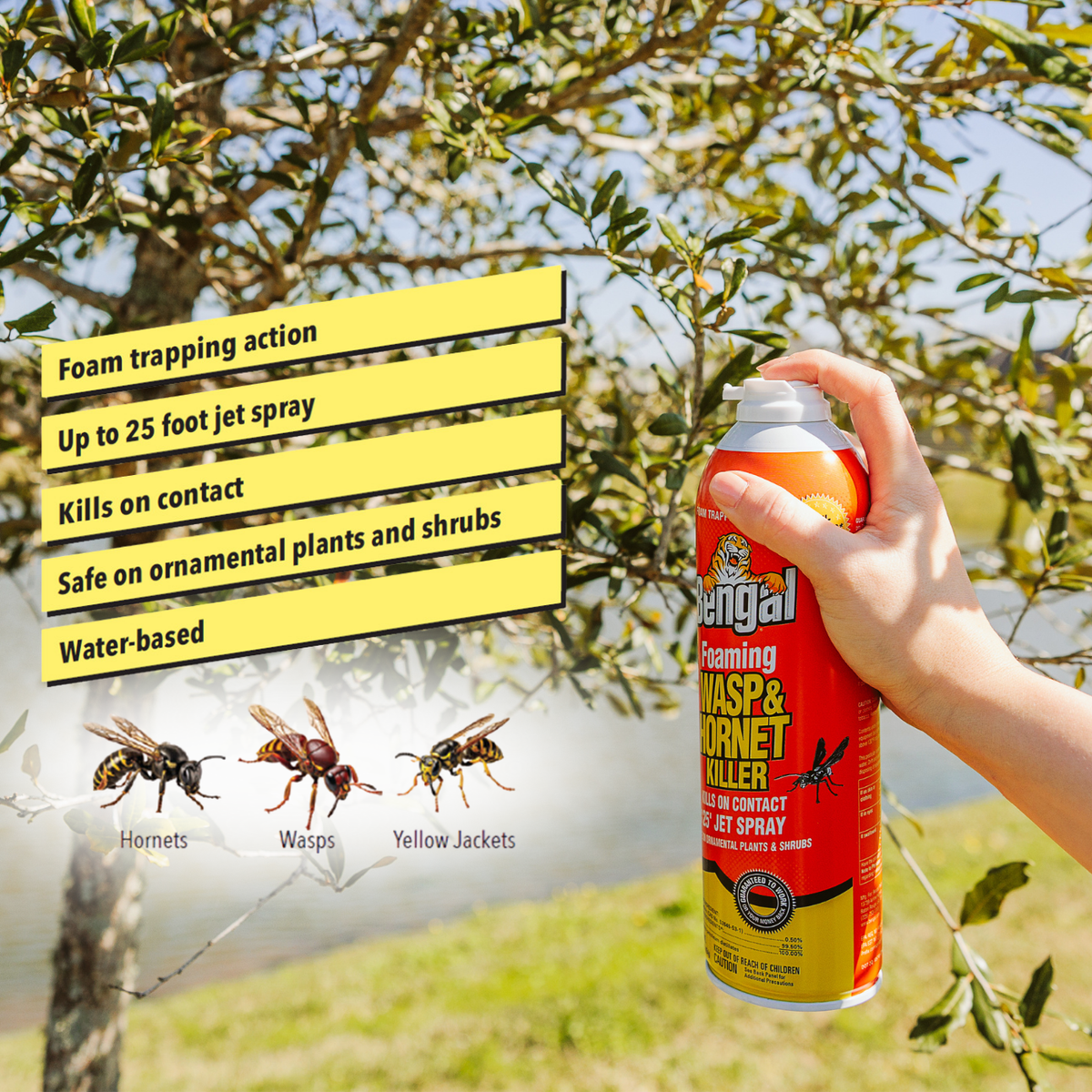 Bengal Foaming Wasp & Hornet Killer | Best Wasp Spray | Bengal Products
