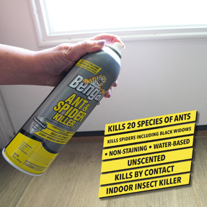 Bengal Ant & Spider Killer 2 | Bug Spray for Indoor – Bengal Products