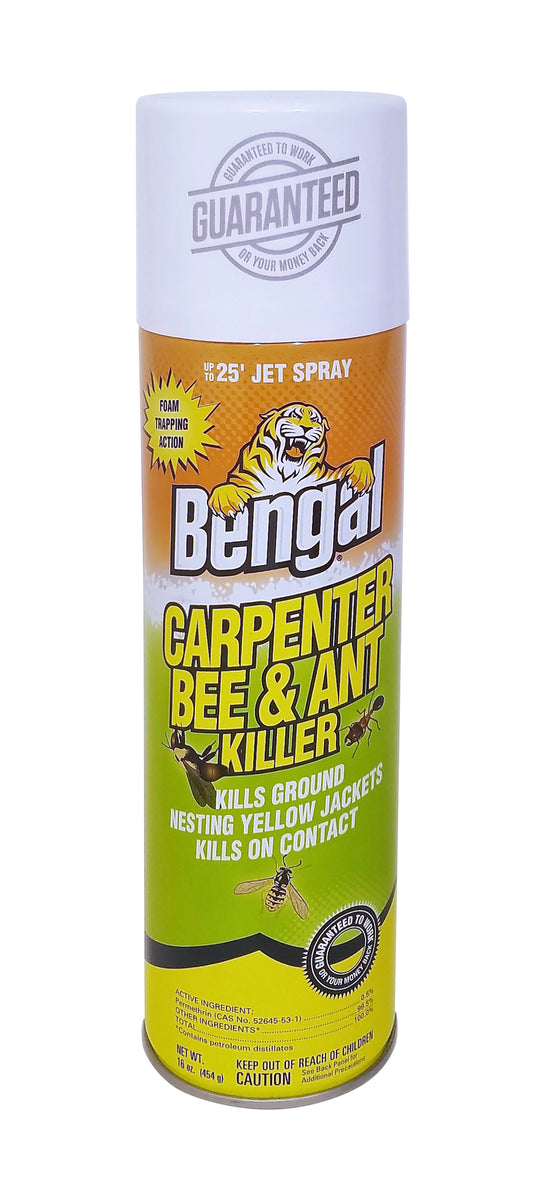 Carpenter Bee & Ant Killer | Instant Knockdown & Bug-Free Environment ...